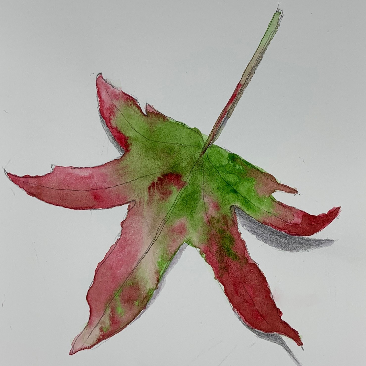 Autumn Color Sketchbook with Watercolor | Gage Academy of Art