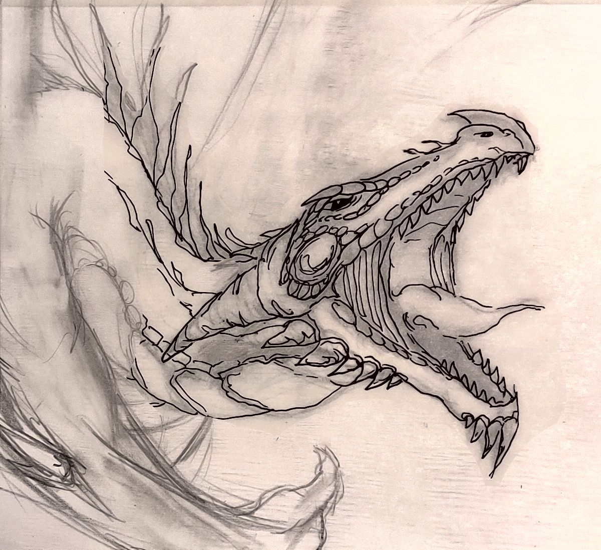 Mythical Creatures Sketches Of Dragons